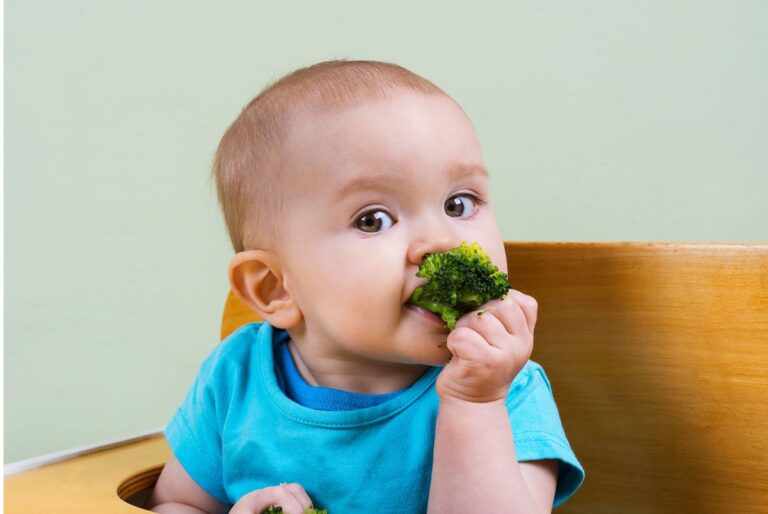 BLW At 6 Months A Dietitian s Guide To Baby s First Foods BLW At 6 Months A Dietitian s Guide To Baby s First Foods